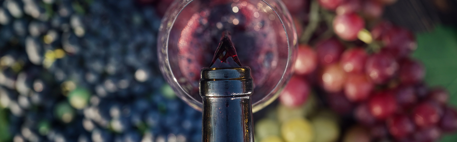 Wine Products - GR INOX